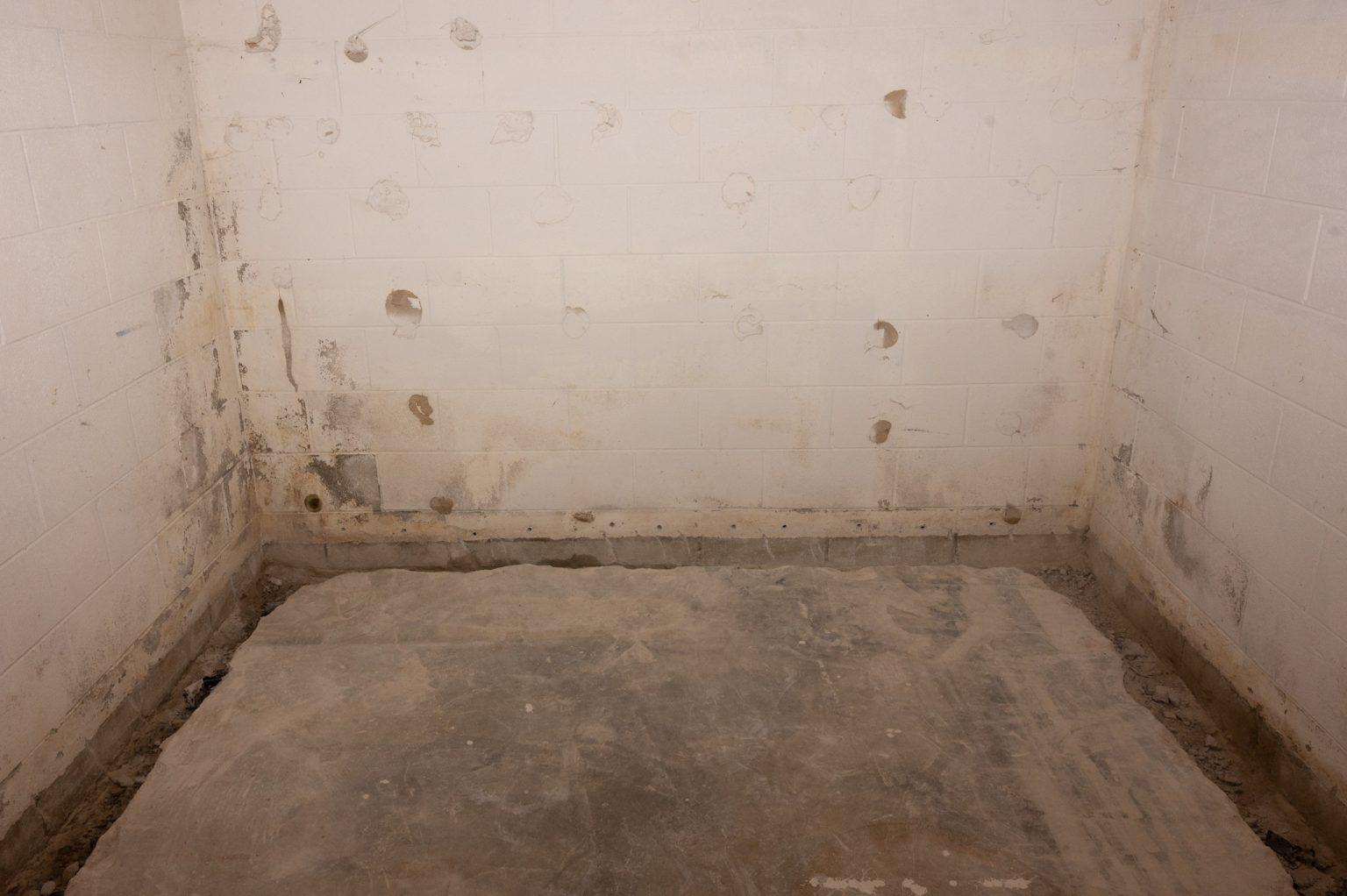 WaterGuard - Basements Plus