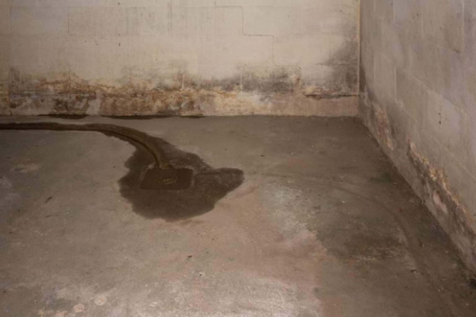 Complete Guide to Fixing Water in Your Basement | Prevention & Repairs